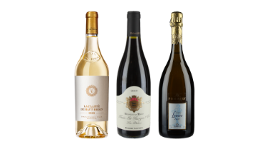 Discovery Box | ARVI SA